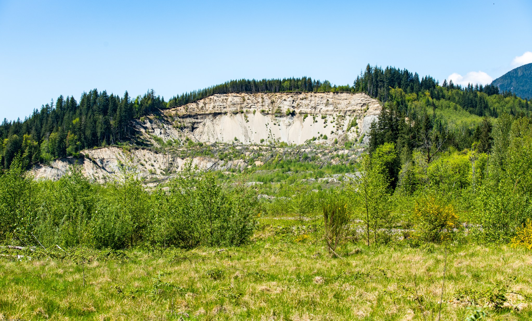 The Oso Slide – Pacific Northwest Vagabond Blog