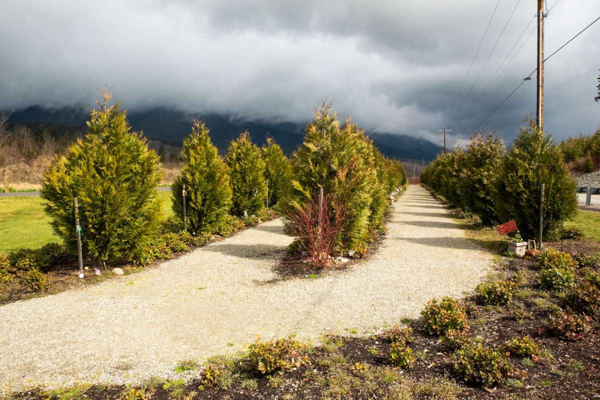 The Oso Slide – 2 – Tragedy and Memorial – Pacific Northwest Vagabond Blog