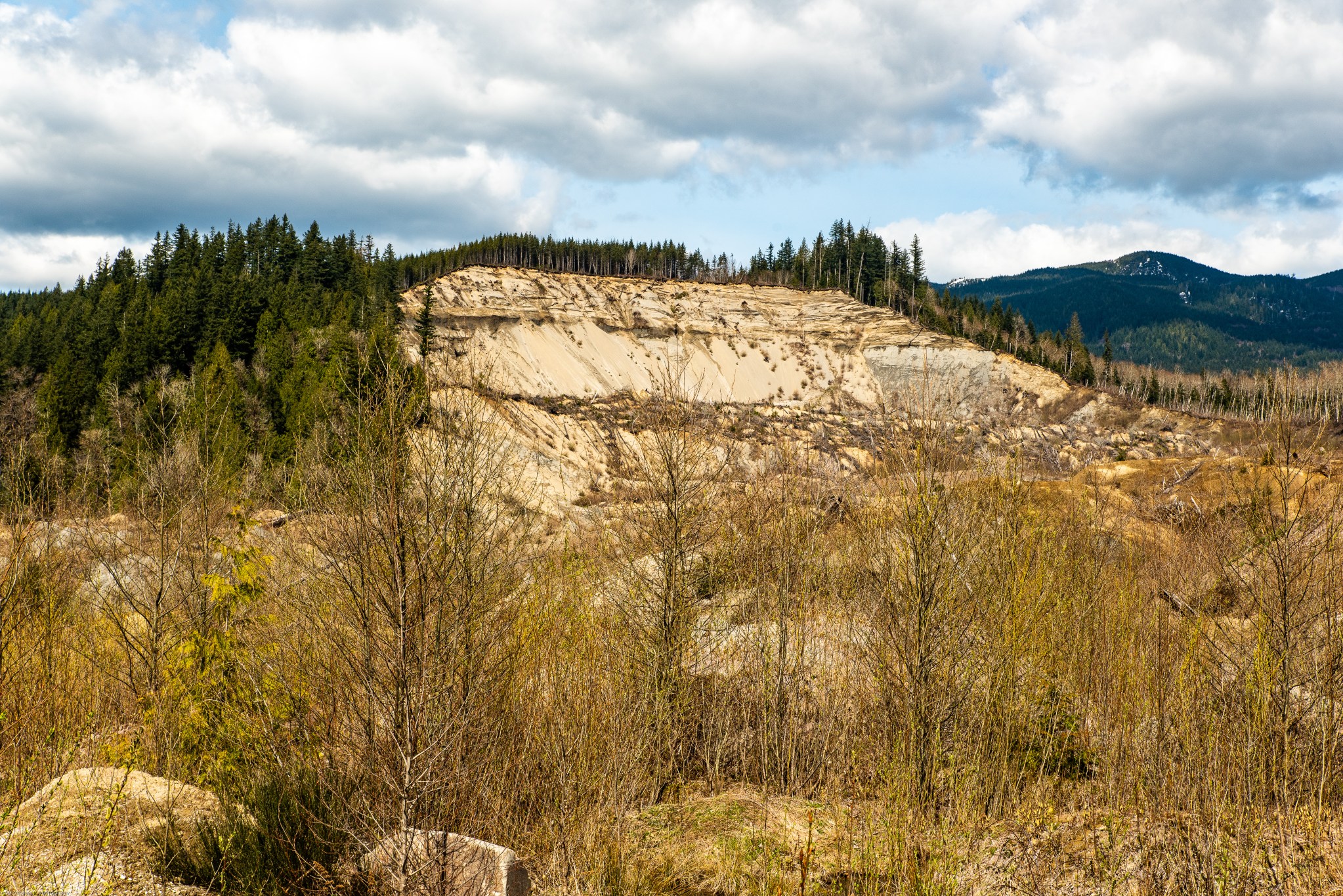 The Oso Slide – Pacific Northwest Vagabond Blog
